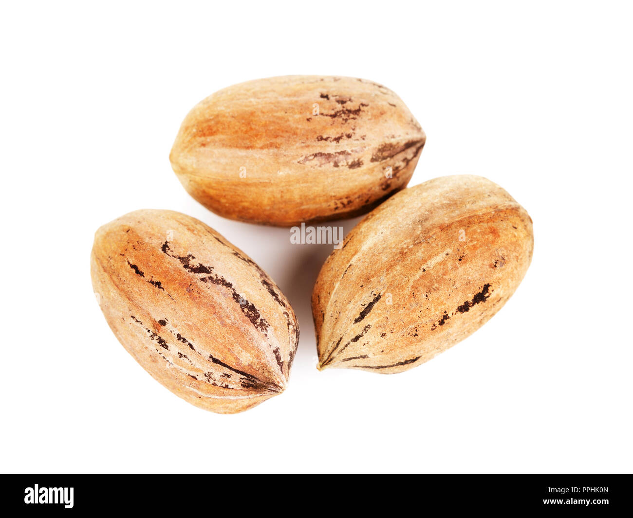 pecan nuts in a shell, isolated on white background Stock Photo - Alamy