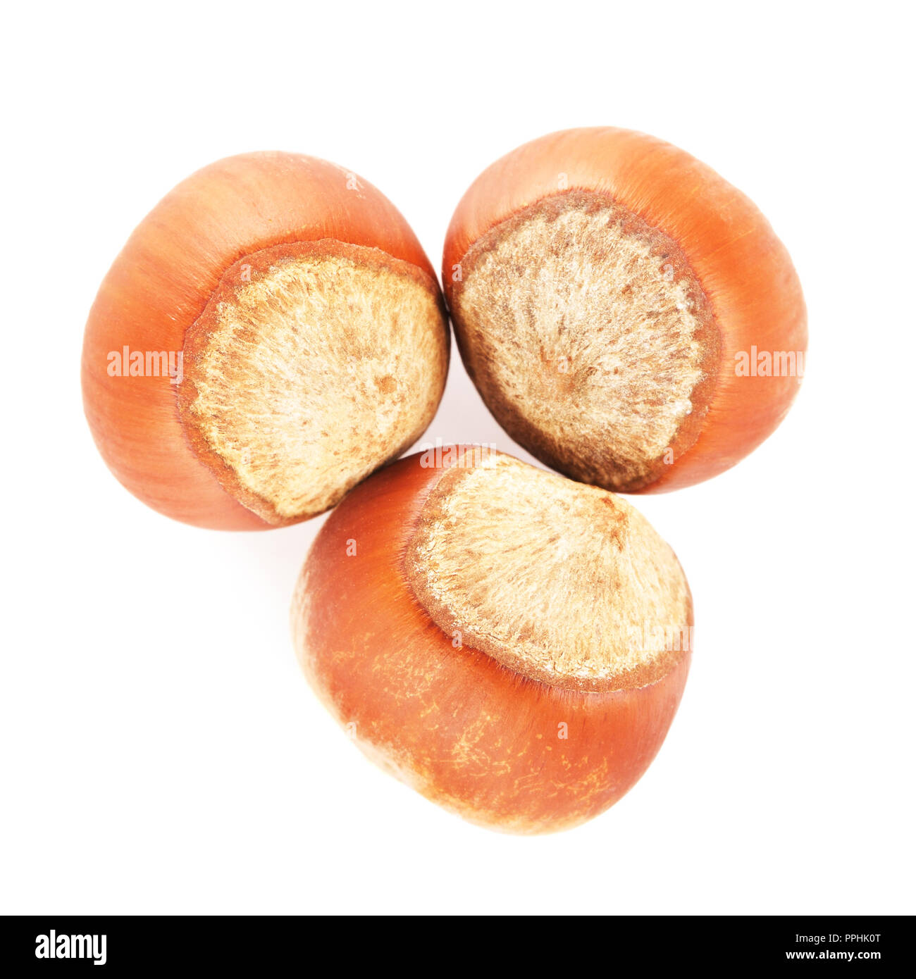 hazelnuts in a shell, isolated on white background Stock Photo - Alamy