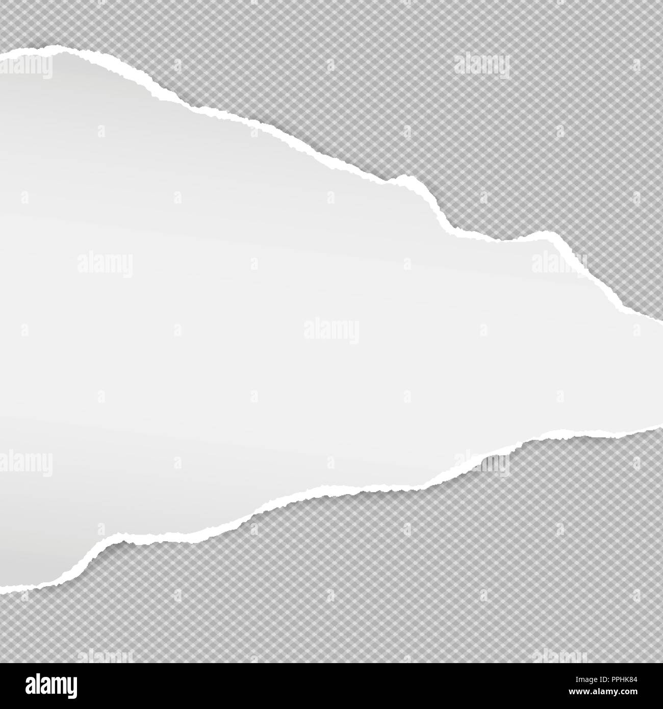 White ripped note paper strips for text or message on squared gray ...