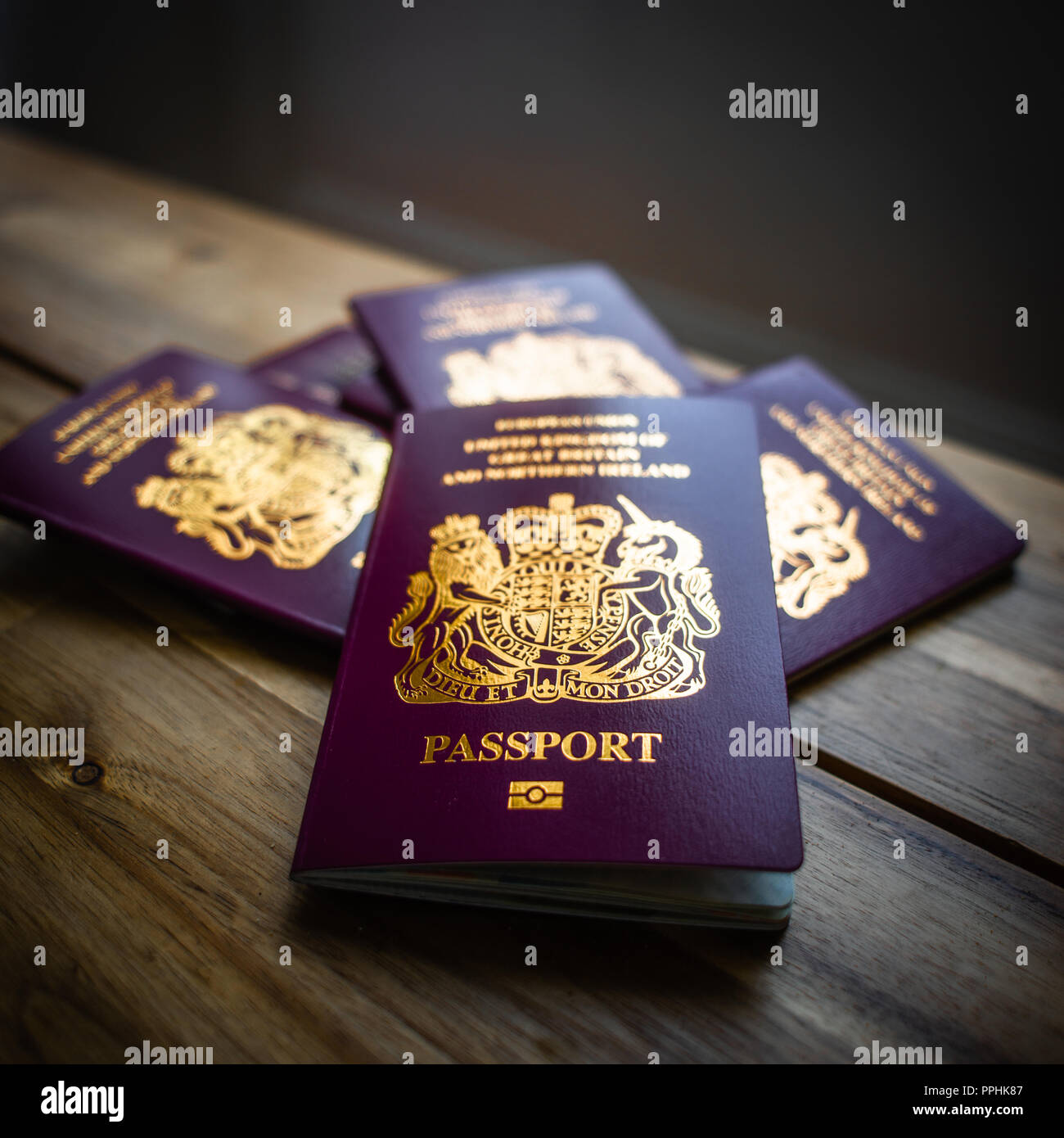 Burgundy identification document hi-res stock photography and images ...