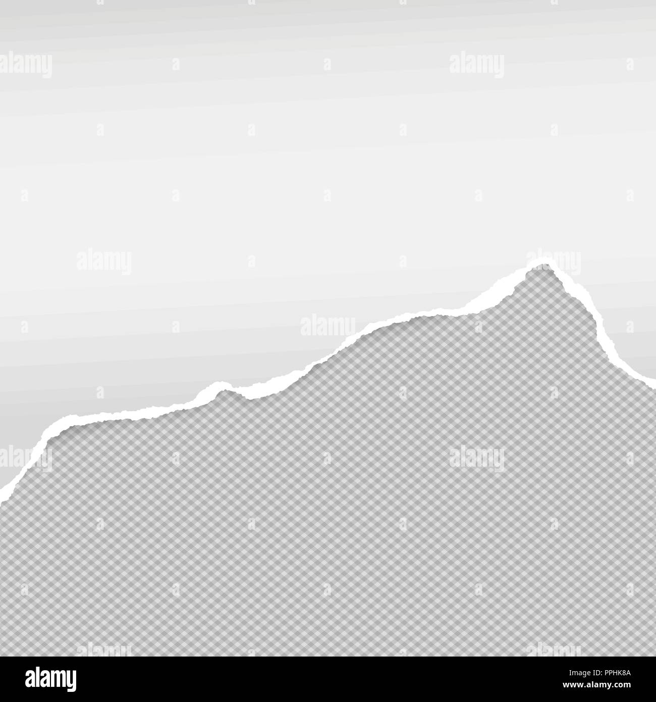 White ripped note paper strips for text or message on squared gray ...