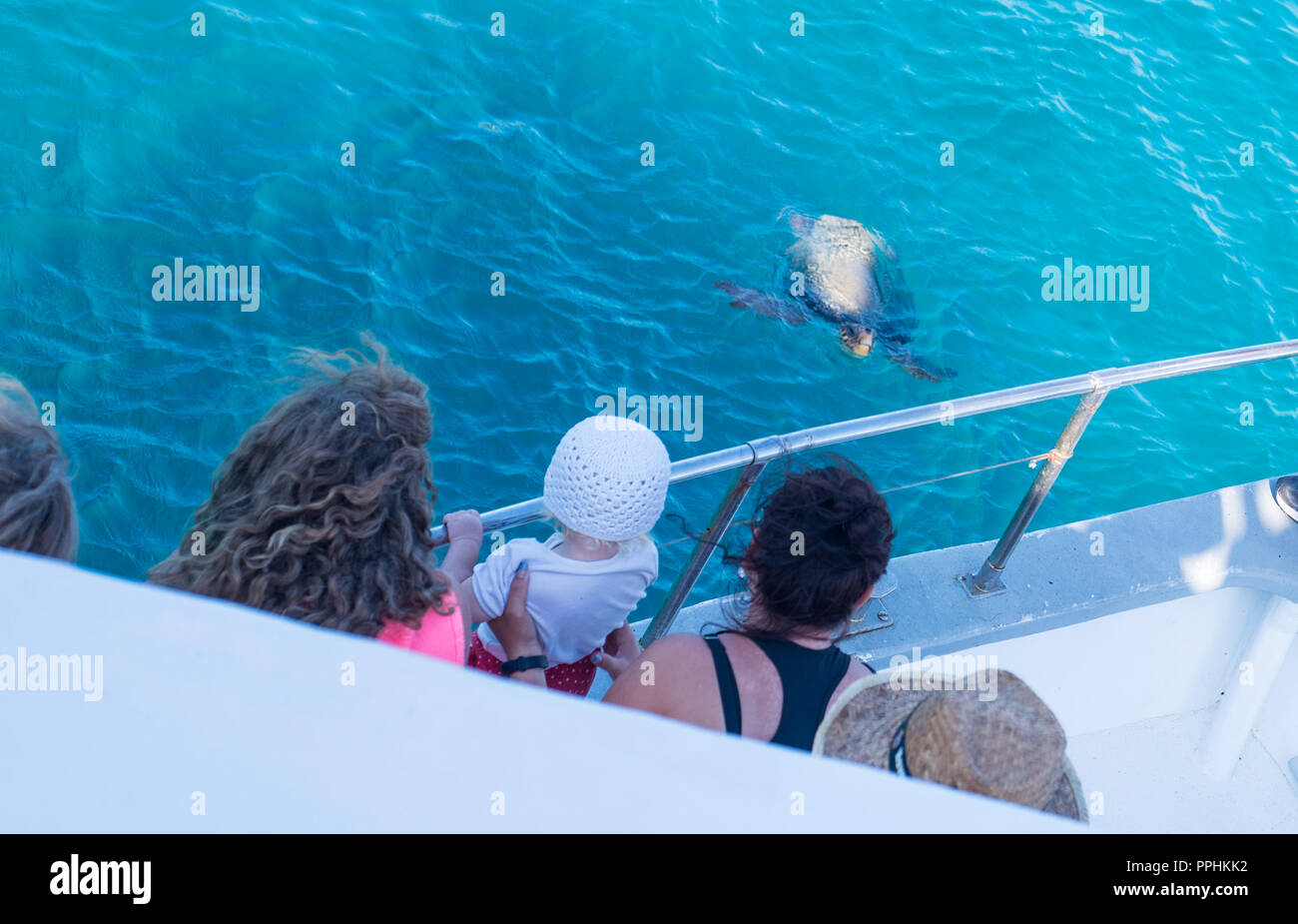 Turtle island in zakynthos sea hi-res stock photography and images - Alamy