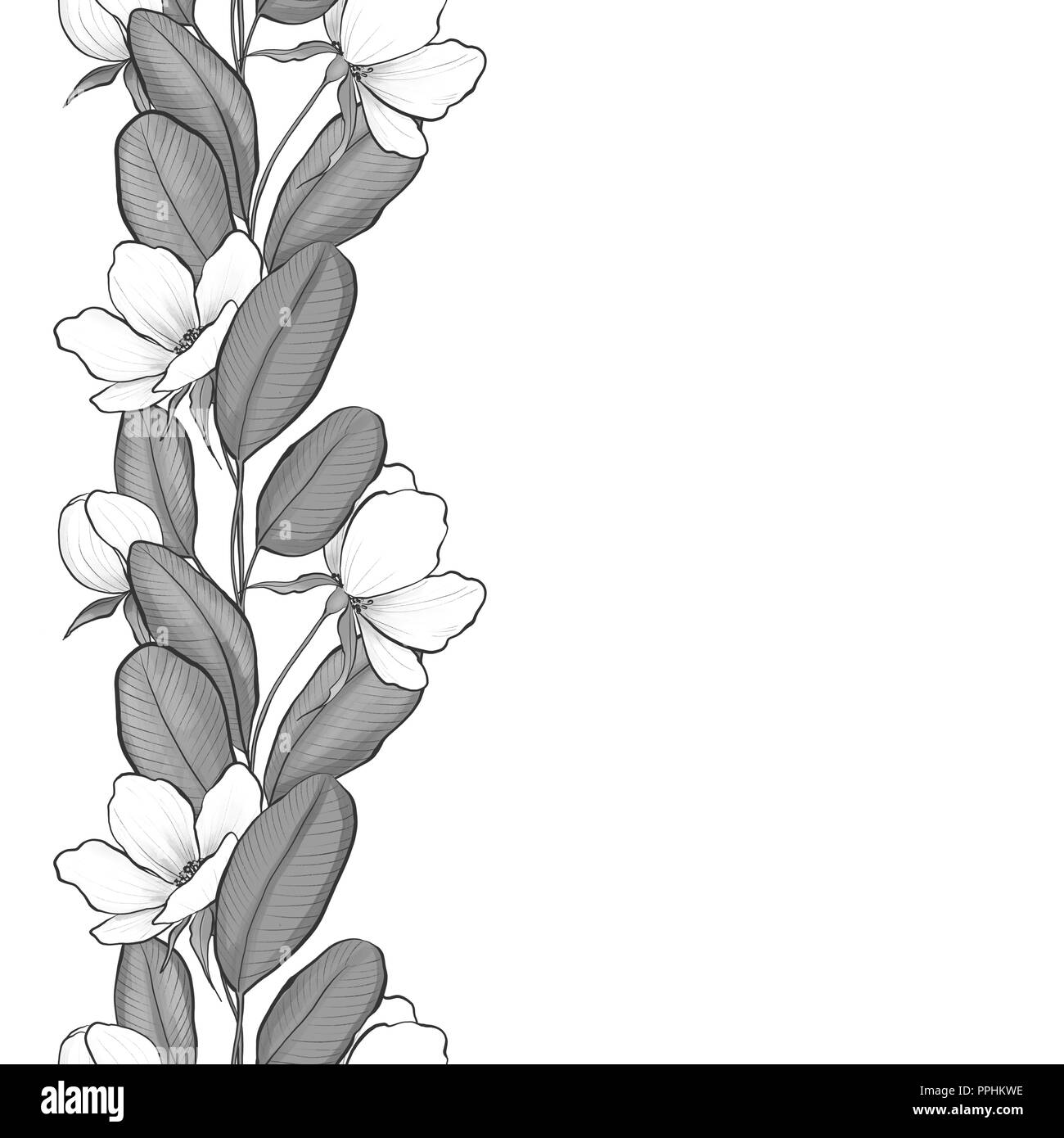 Floral border black white Cut Out Stock Images & Pictures - Alamy
