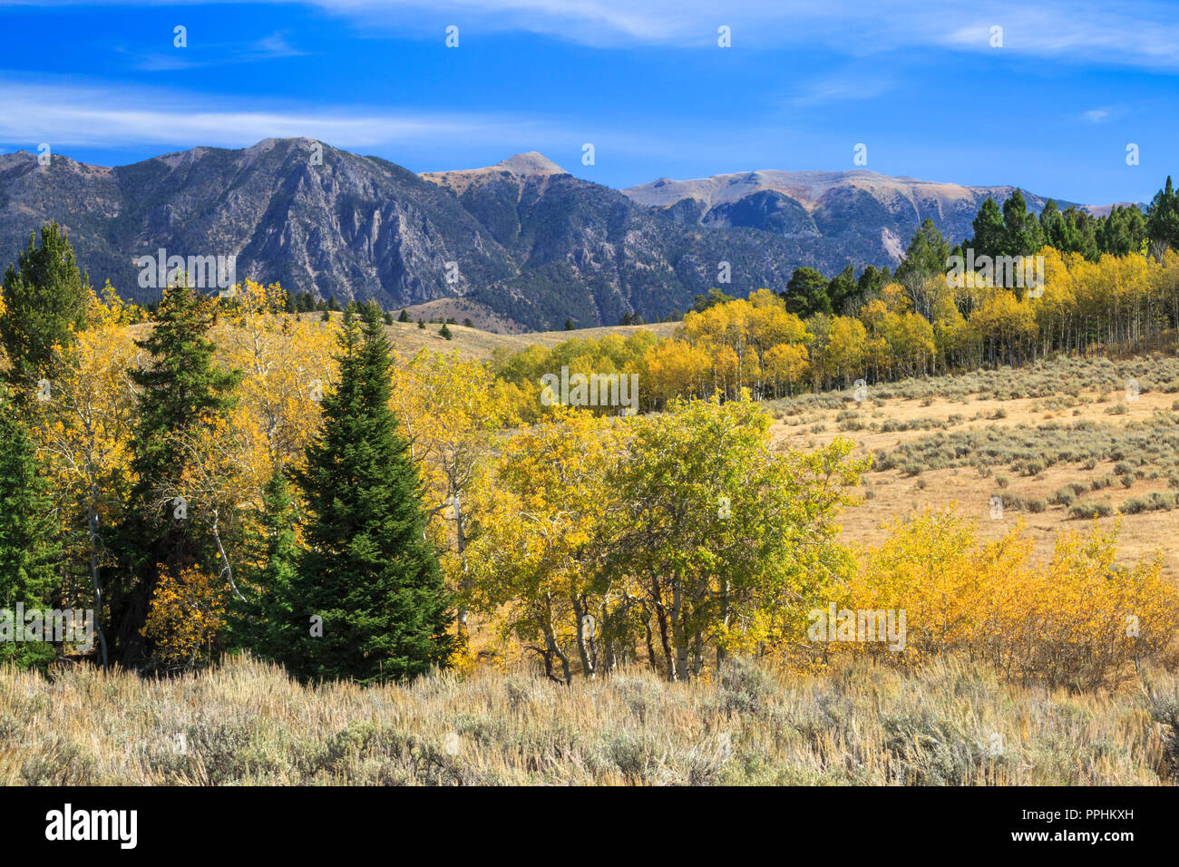 Madison range hi-res stock photography and images - Alamy