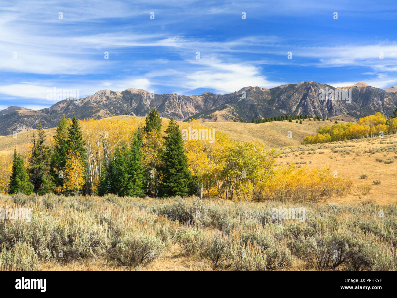 aspen in fall color below peaks of the madison range near cliff lake ...