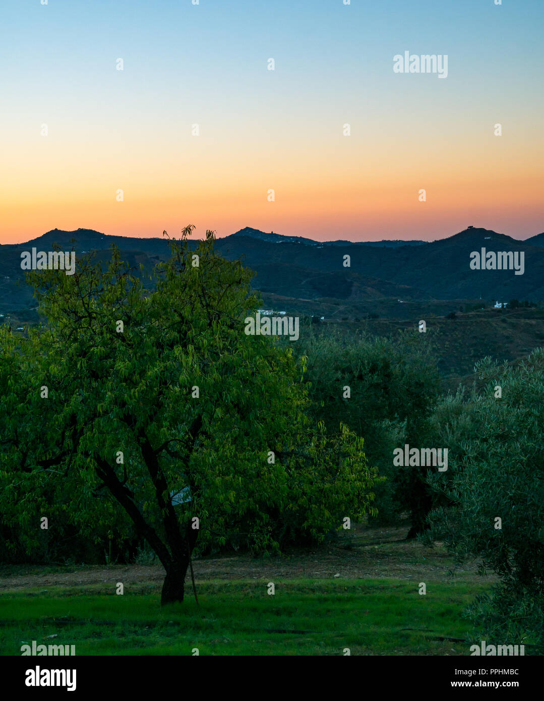 Sunrise the grove hi-res stock photography and images - Alamy