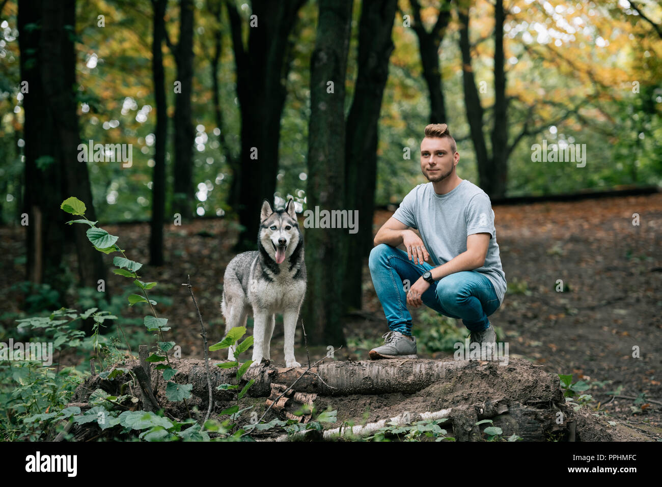 young man walking with siberian husky dog in forest Stock Photo - Alamy