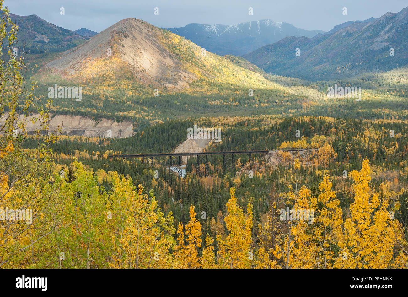 Alaska Railroad, Autumn, Denali National Park, Alaska Stock Photo - Alamy