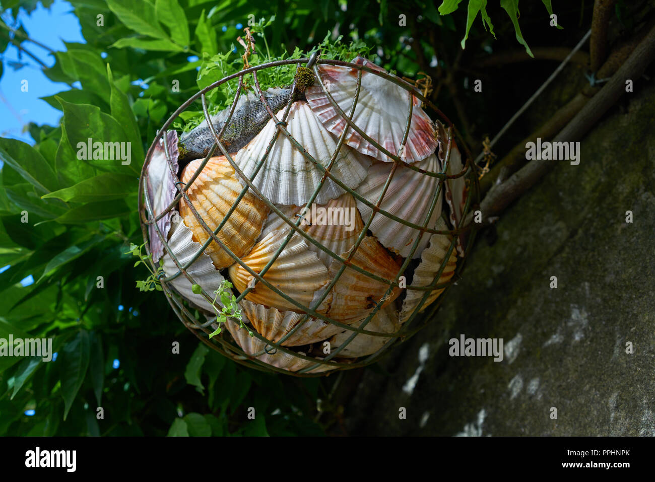 Combarro Galician village sea shells basket in Galicia Spain Stock ...