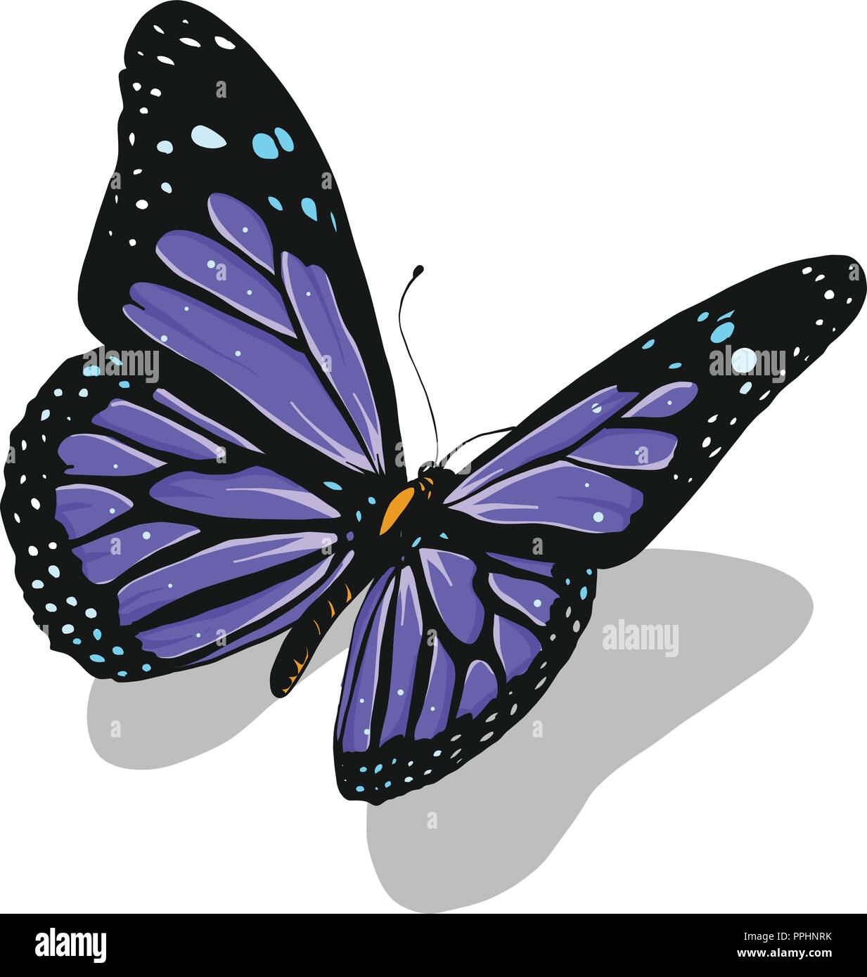 illustration of a beautiful colorful butterfly that flies Stock Vector ...