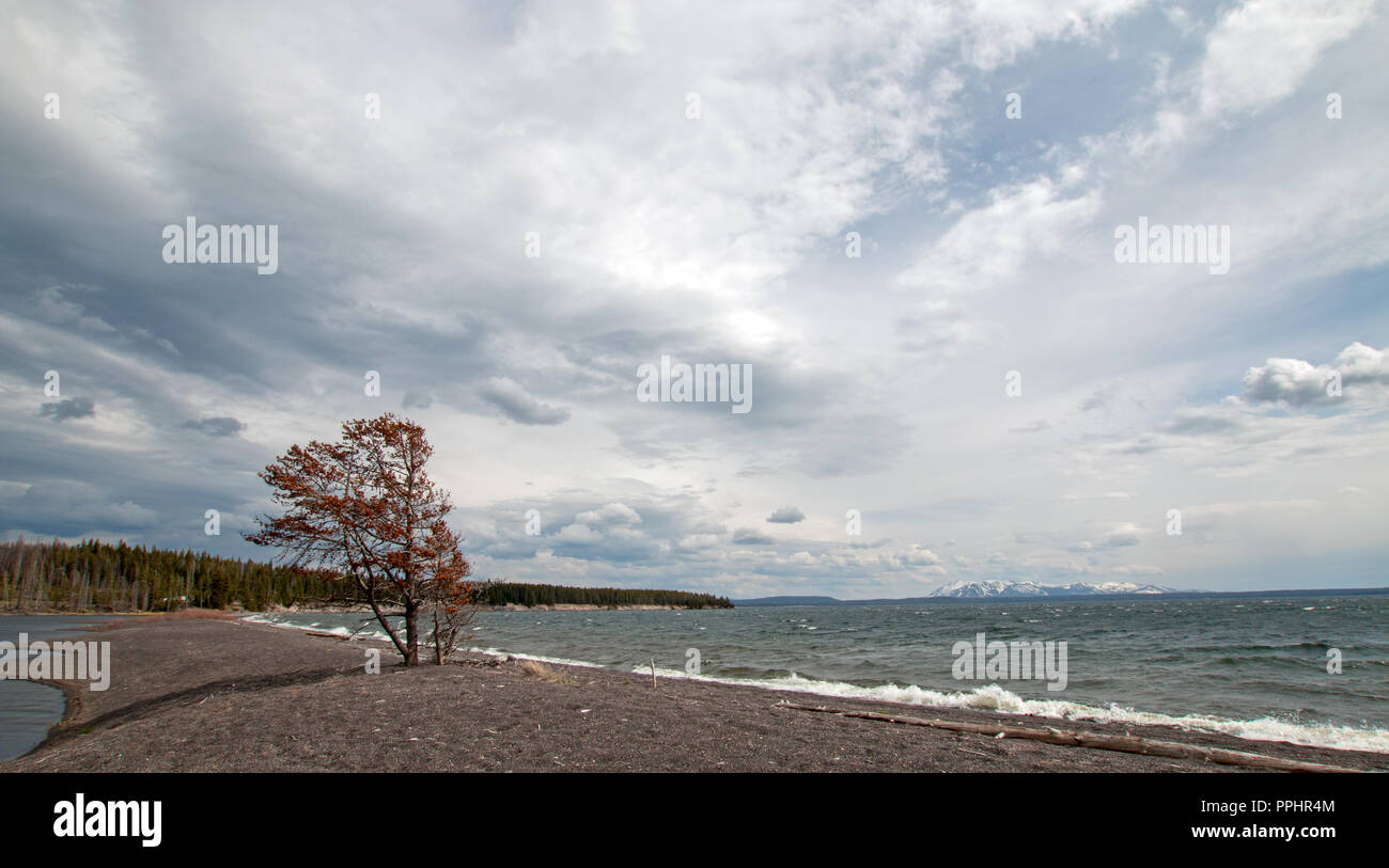 Pumice Point High Resolution Stock Photography and Images - Alamy