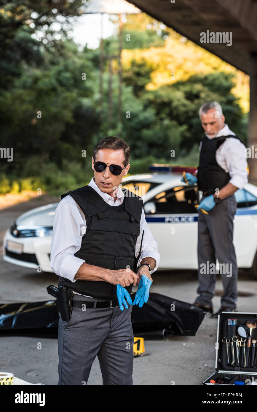 serious policeman in sunglasses putting on latex gloves while his ...