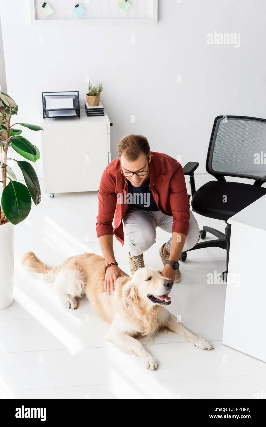 man stroking golden retriever dog at floor Stock Photo - Alamy