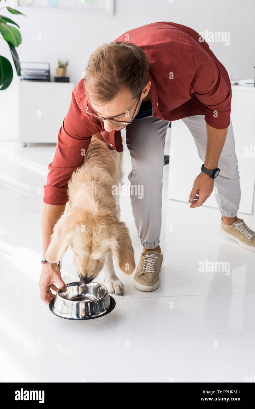 man in glasses feeding golden retriever dog Stock Photo - Alamy
