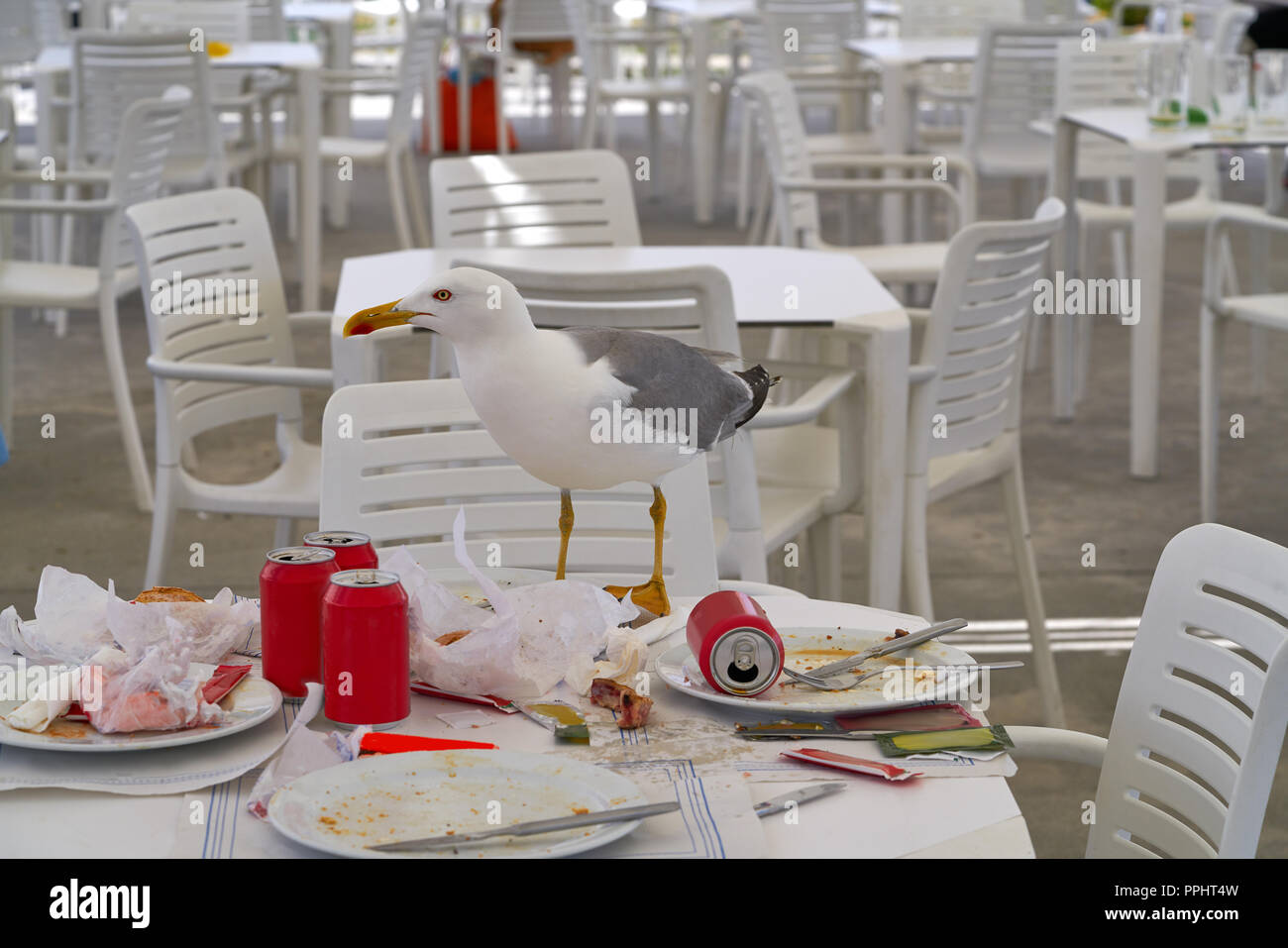 Glass seagulls on a beach hi-res stock photography and images - Alamy