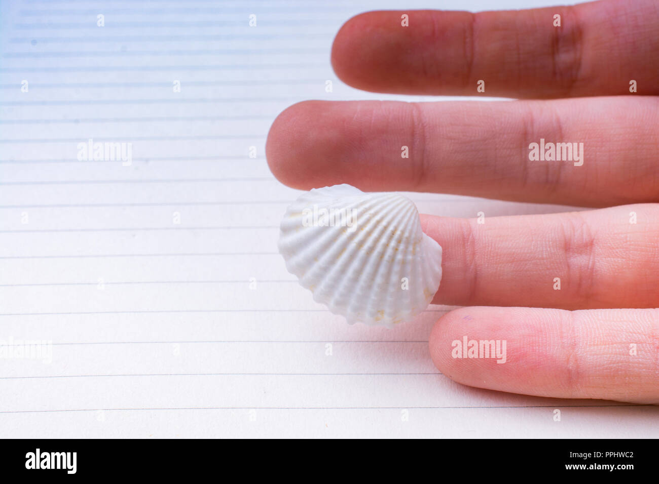 Seashells in hand hi-res stock photography and images - Alamy