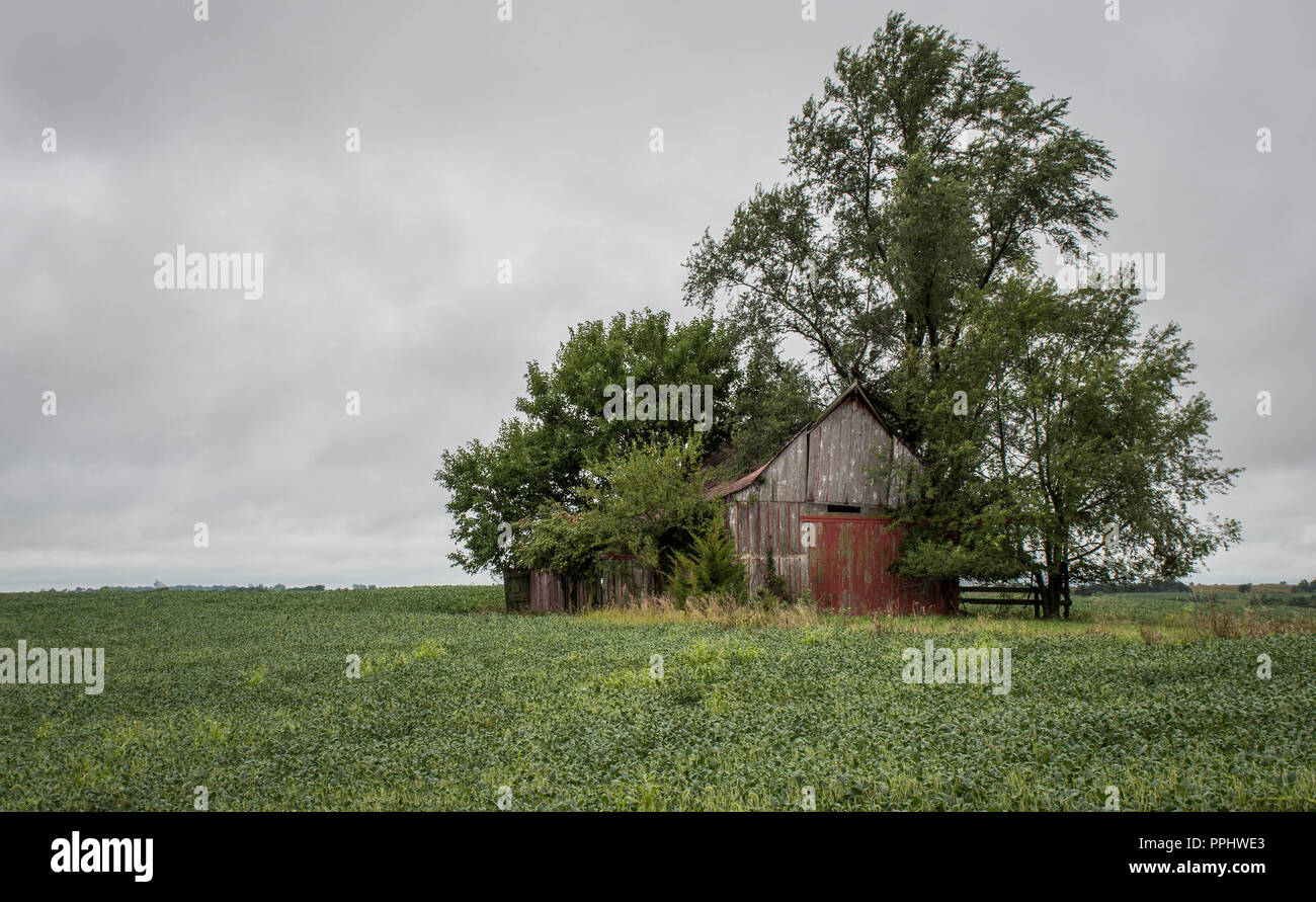 A weathered barn, Winterset, Madison County, Iowa, USA Stock Photo - Alamy