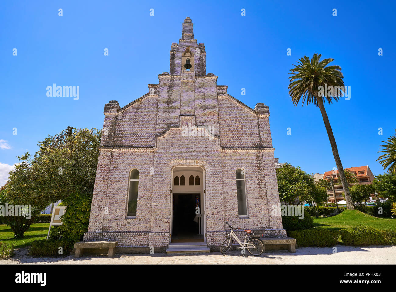 Singular shells hi-res stock photography and images - Alamy