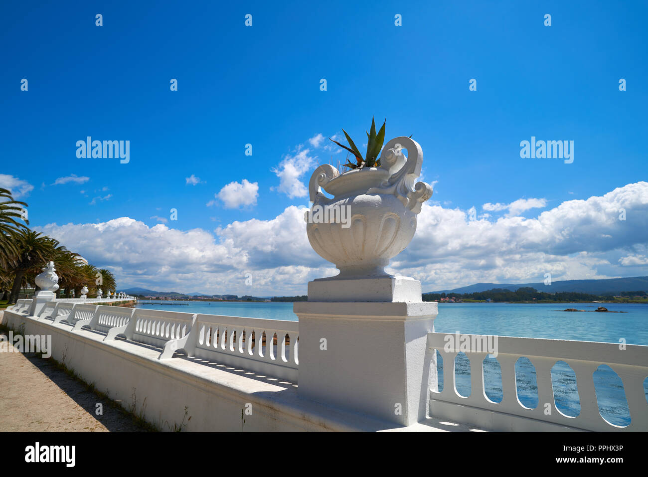 La Toja island Toxa beach flower pot in Pontevedra Galicia Spain Stock ...