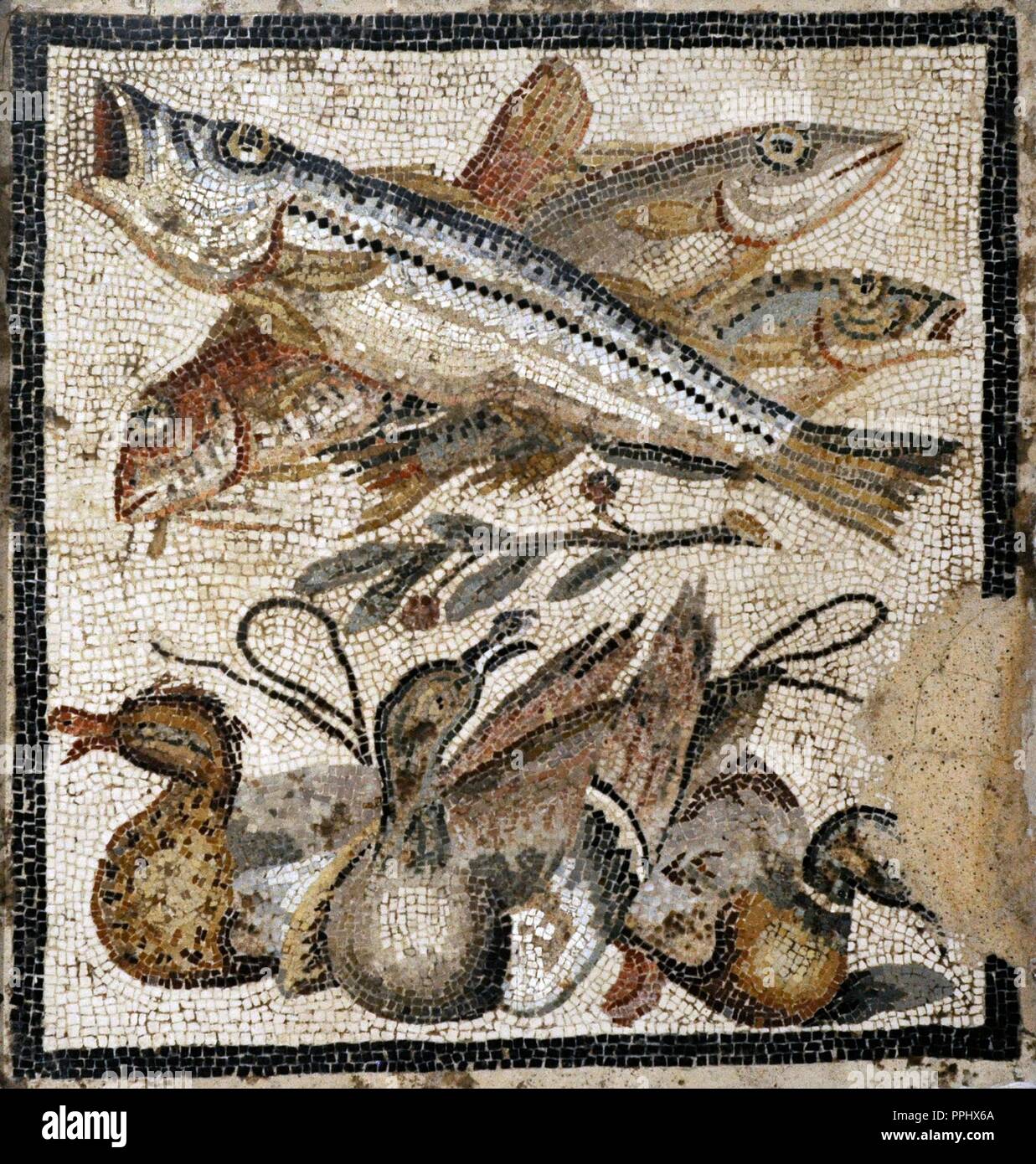 Roman mosaic fish hi-res stock photography and images - Alamy