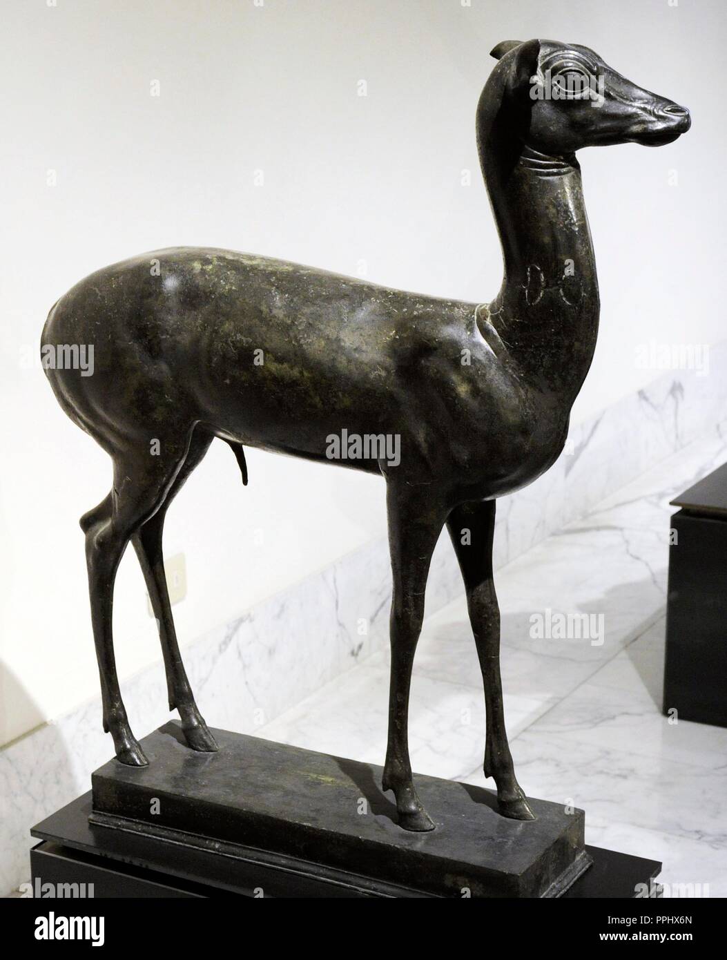 Deer. Roman statue. Bronze. Rectangular peristyle. Villa of the Papyri ...