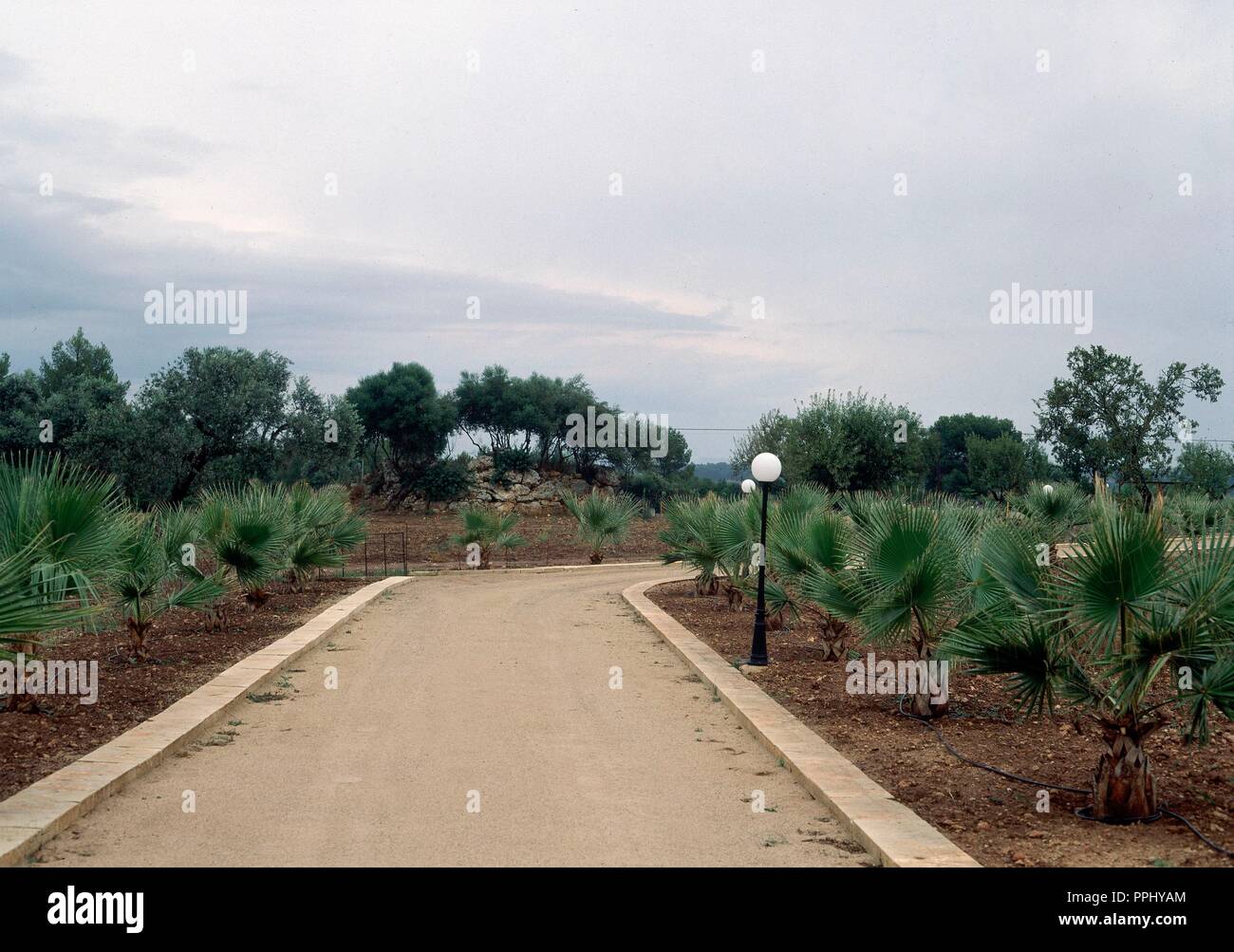 INTERIOR DE UNA FINCA. Location: FINCA PARTICULAR. Pina. SPAIN Stock ...