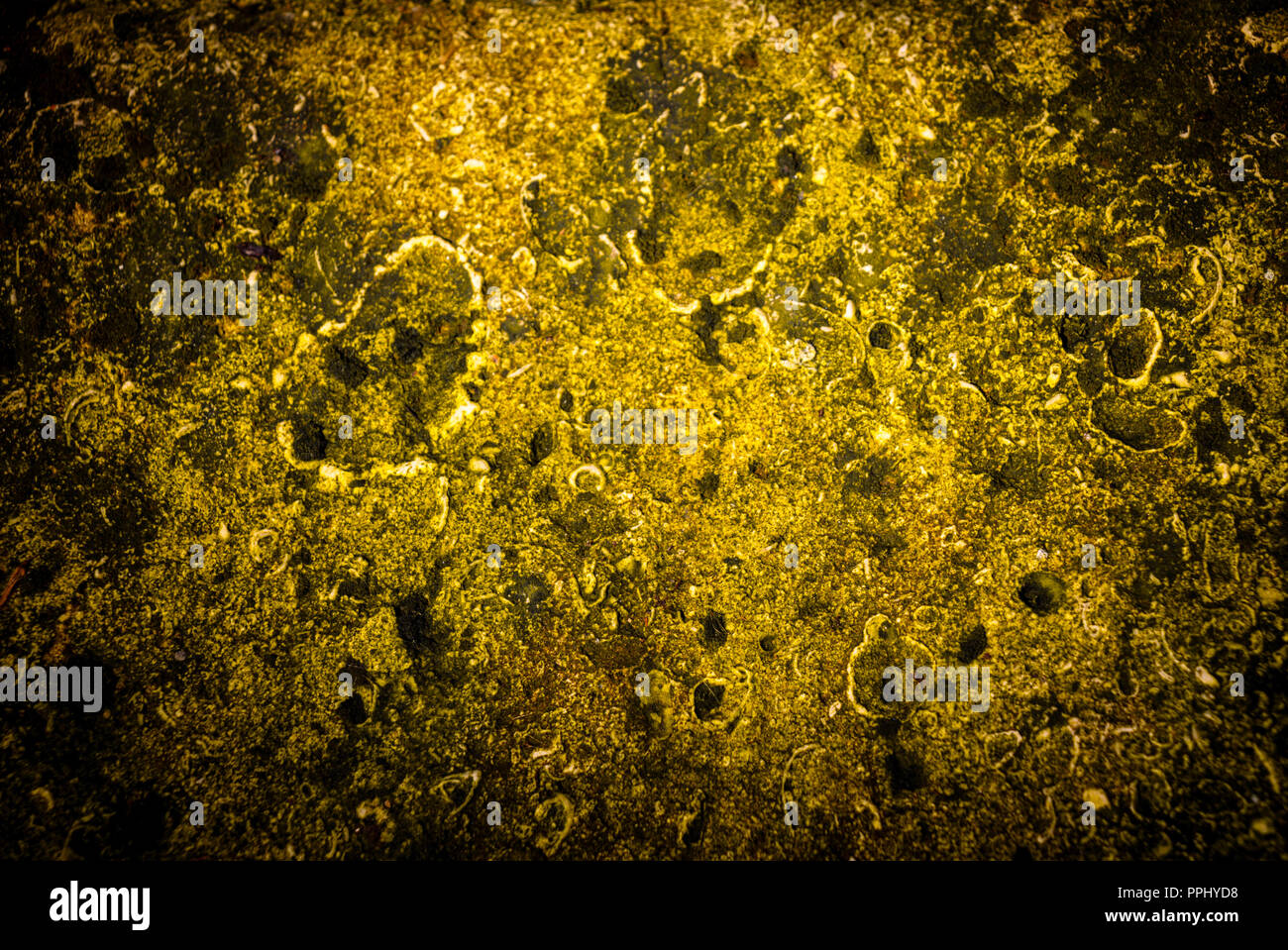 Cracked wall surface as a background texture pattern Stock Photo - Alamy