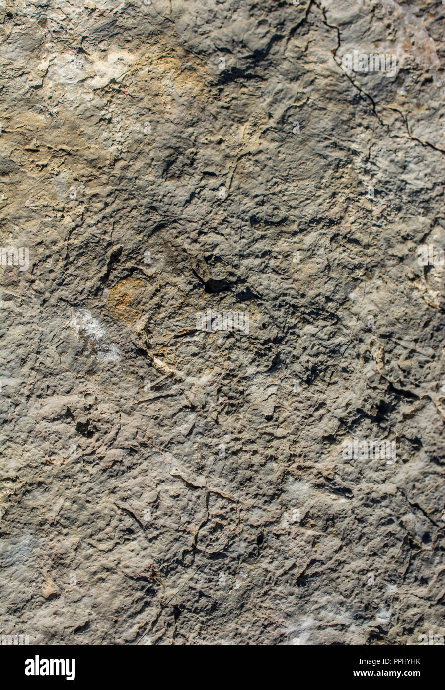 Natural rock or Stone surface as background texture Stock Photo - Alamy