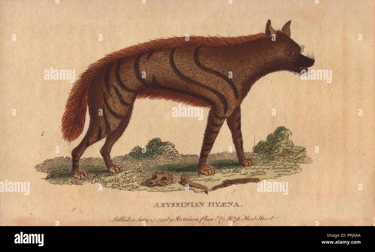 Mr bruce edwards hi-res stock photography and images - Alamy