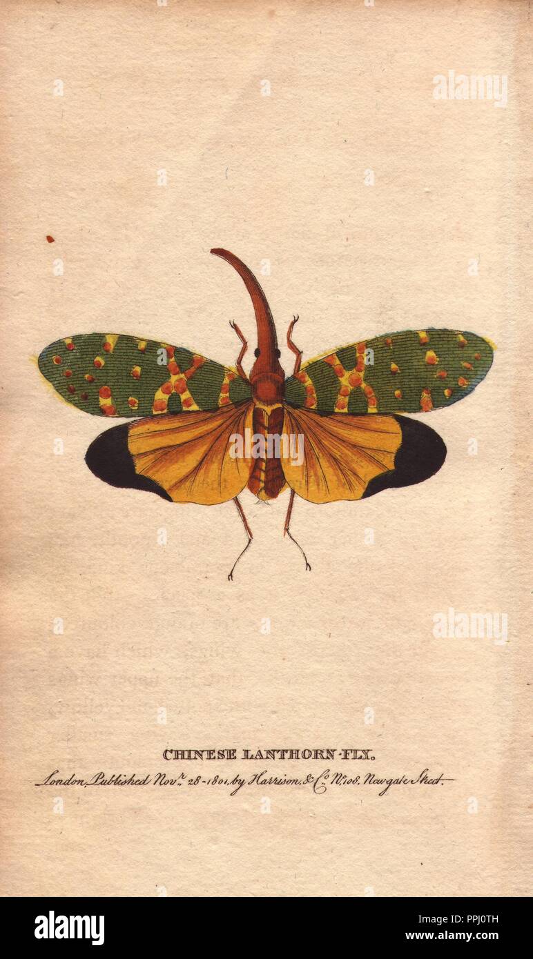 Lanthorn hi-res stock photography and images - Alamy