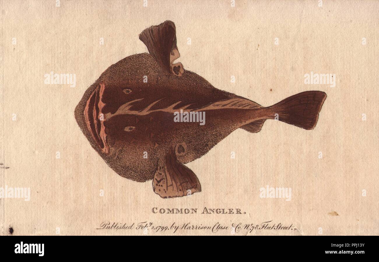 London zoo fish hi-res stock photography and images - Alamy