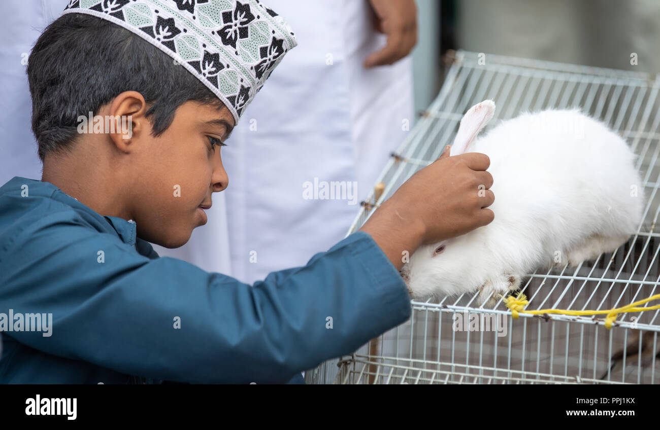 Pet rabbit and boy hi-res stock photography and images - Alamy