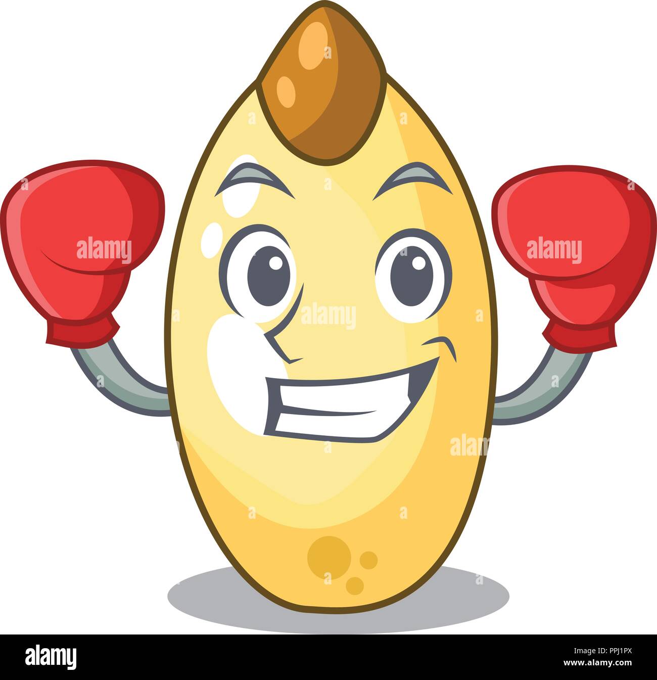 Boxing cedar nut on cartoon wooden table Stock Vector Image & Art - Alamy