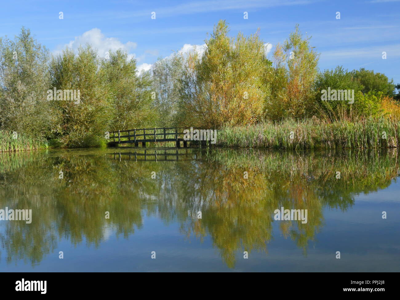Devon lake hi-res stock photography and images - Alamy
