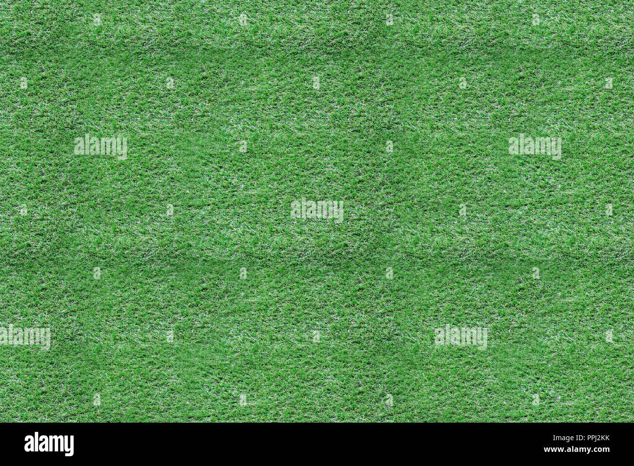 Seamless texture of green trimmed grass Stock Photo - Alamy
