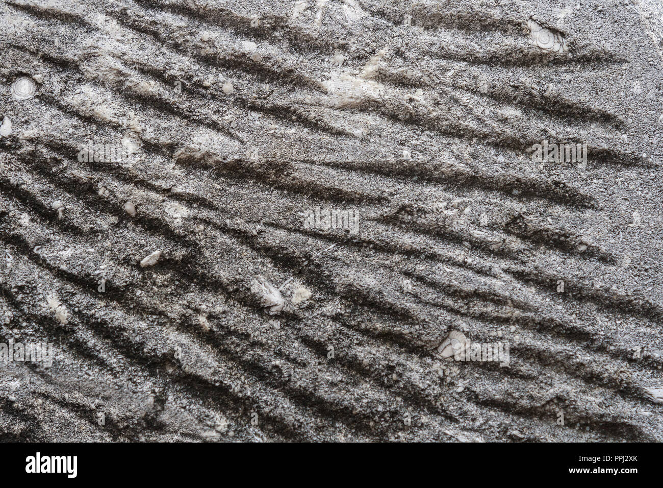 Ancient sandy rough stone. Textural background. Close-up Stock Photo ...
