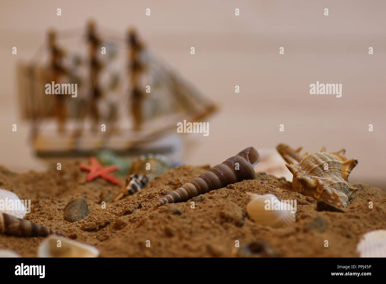 sand shell and sail in sea Stock Photo - Alamy