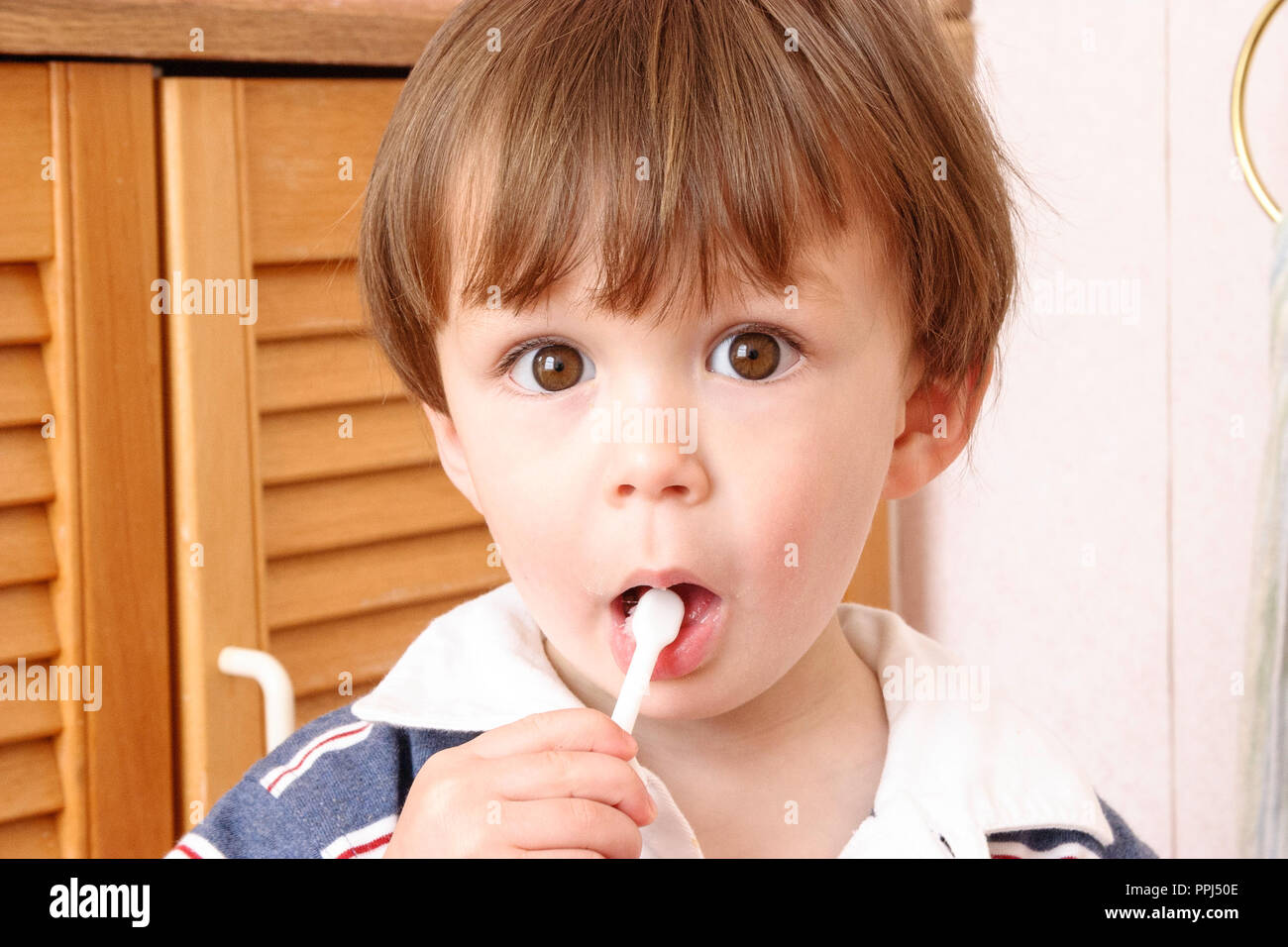 Caucasian child, boy, 3-4 years old, facing viewer with eye-contact ...