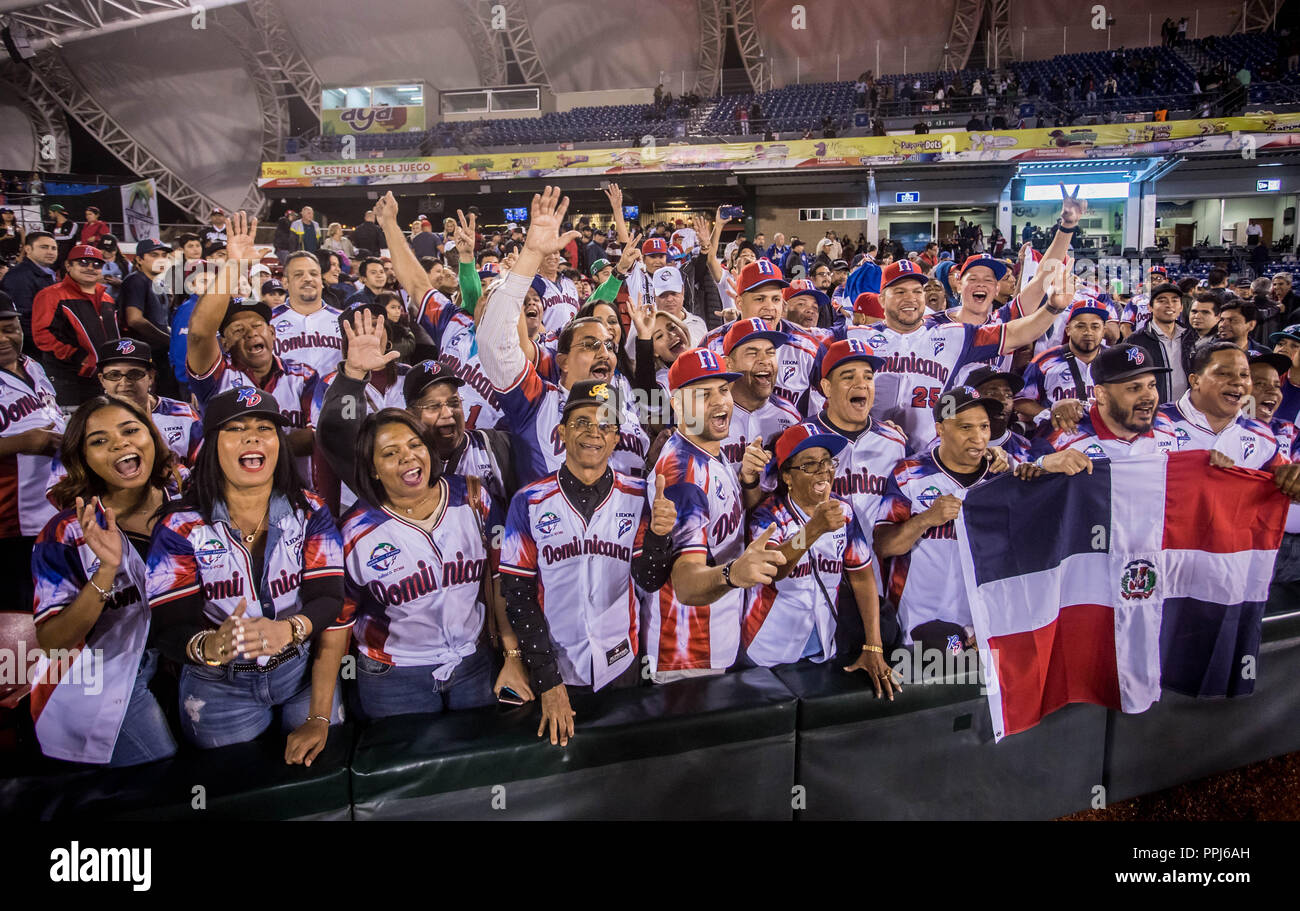 Fanáticos de beisbol celebran con el equipo de Republica Dominicana al ...