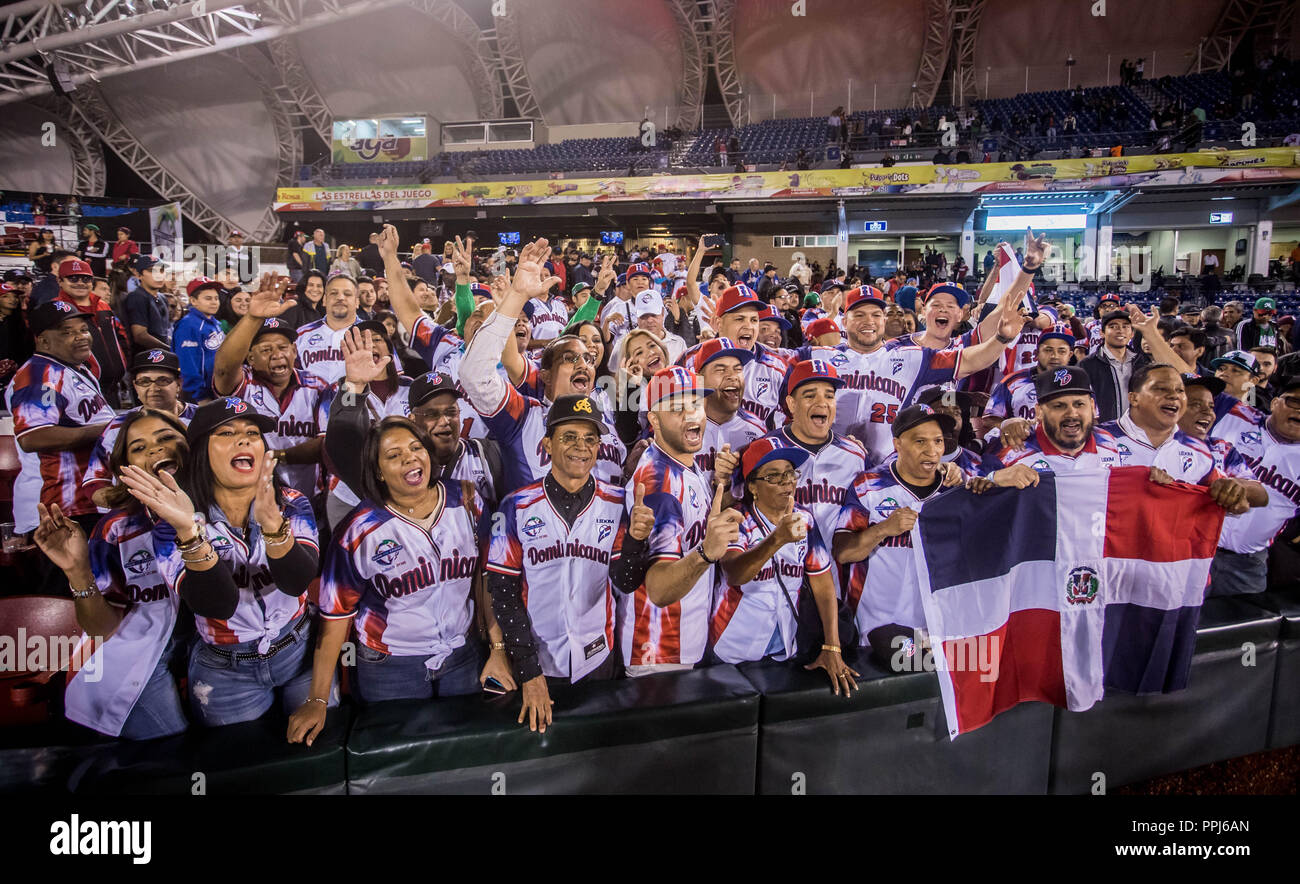 Fanáticos de beisbol celebran con el equipo de Republica Dominicana al ...