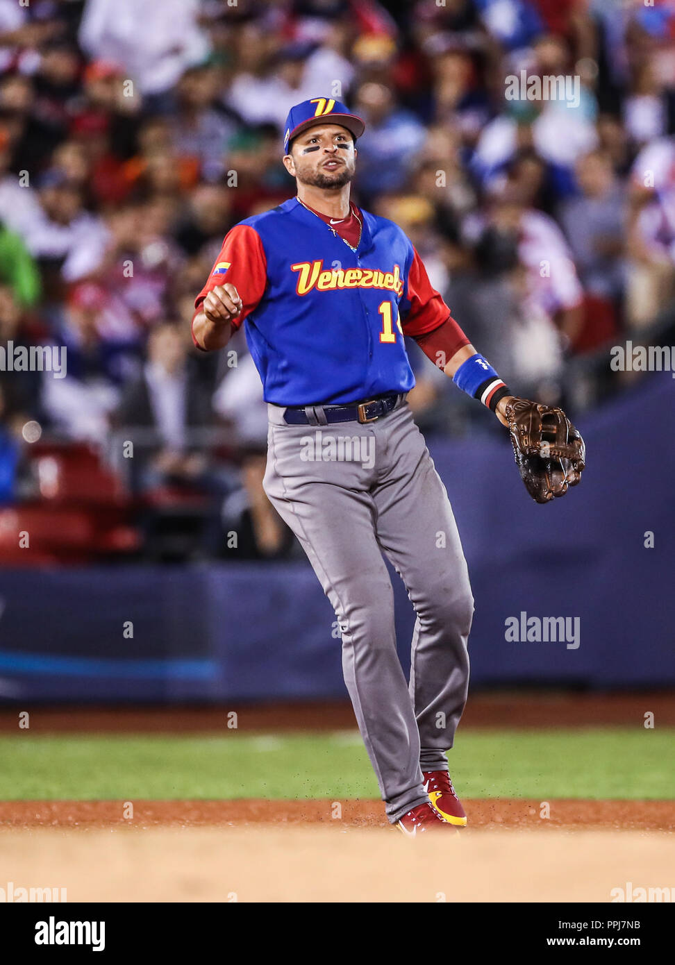 Estadio de béisbol charros hi-res stock photography and images - Alamy