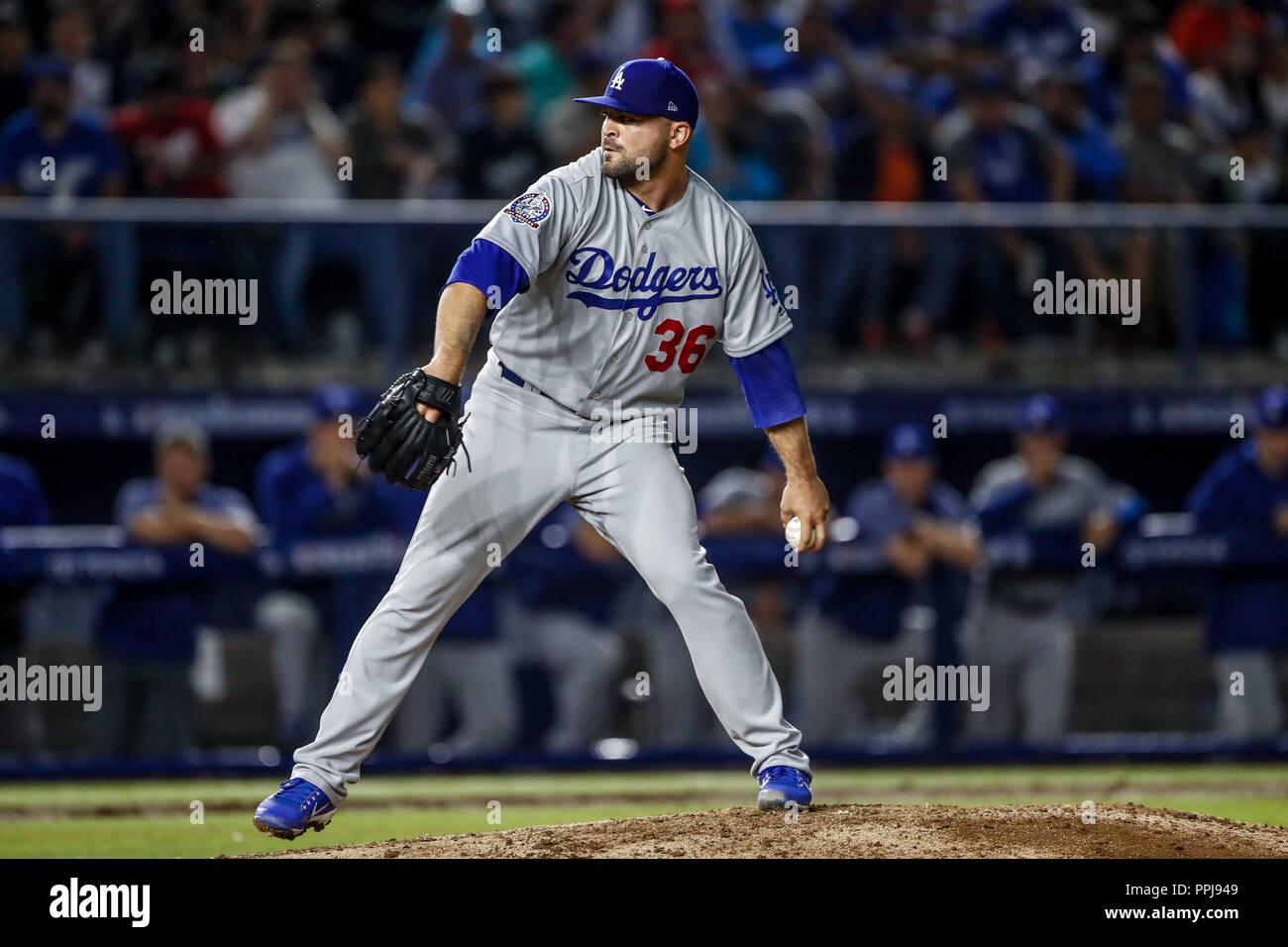 Hombres adam hi-res stock photography and images - Alamy