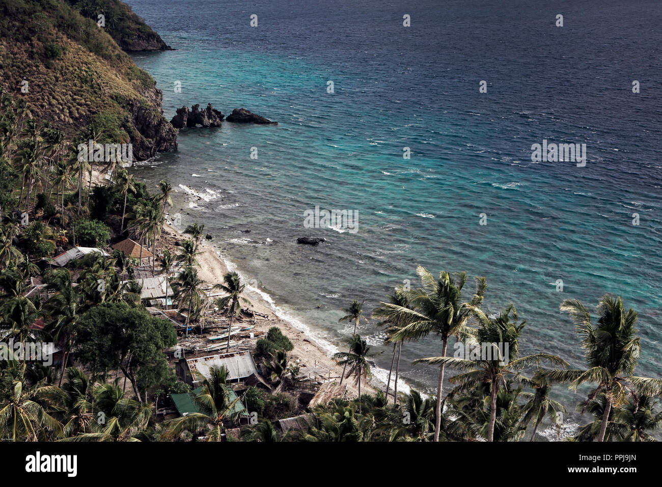 Scenic view of beach on Apo Island, a popular scuba diving destination ...
