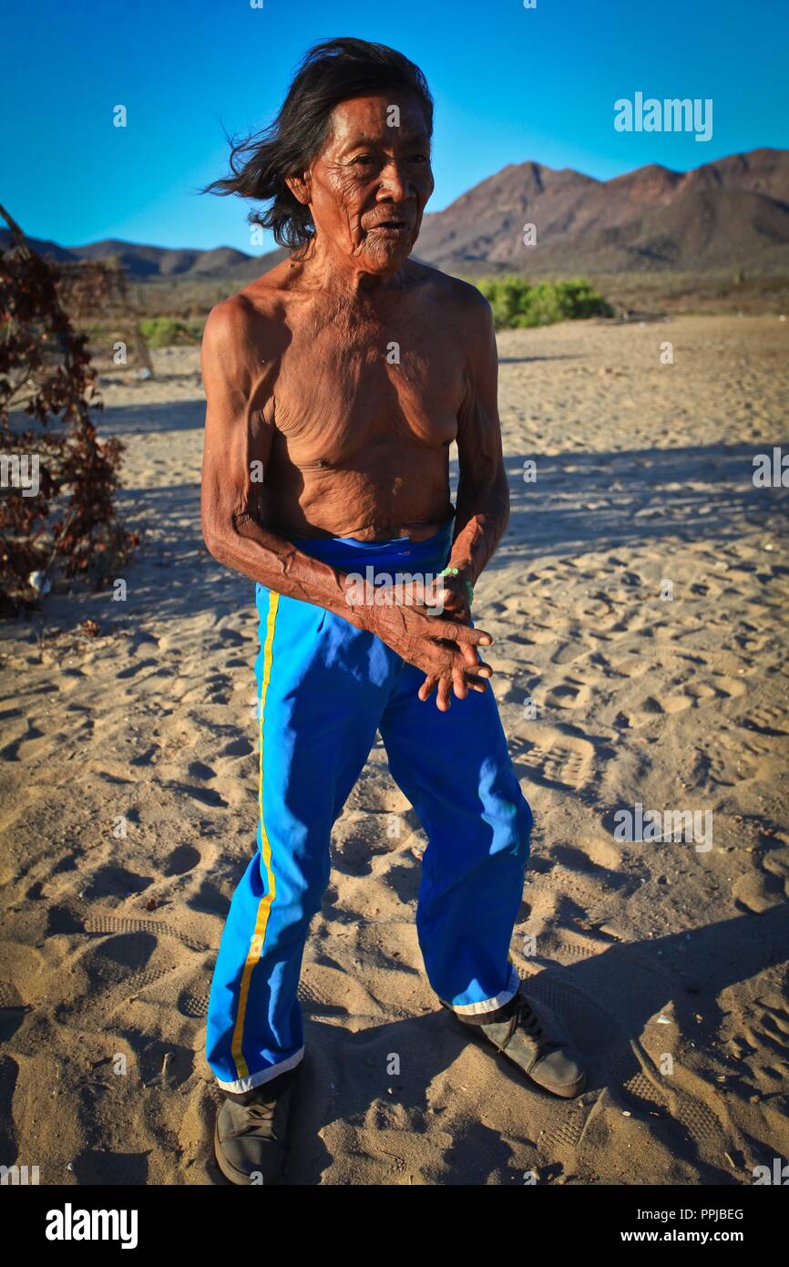 Francisco Barnett, shaman of the Seri ethnic group, enriched as El ...