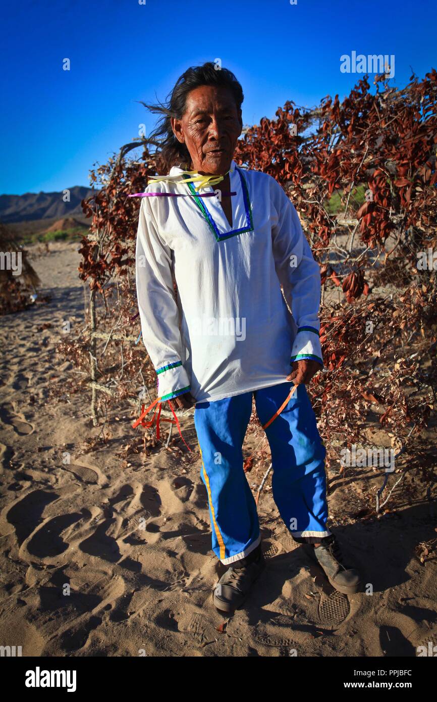 Francisco Barnett, shaman of the Seri ethnic group, enriched as El ...