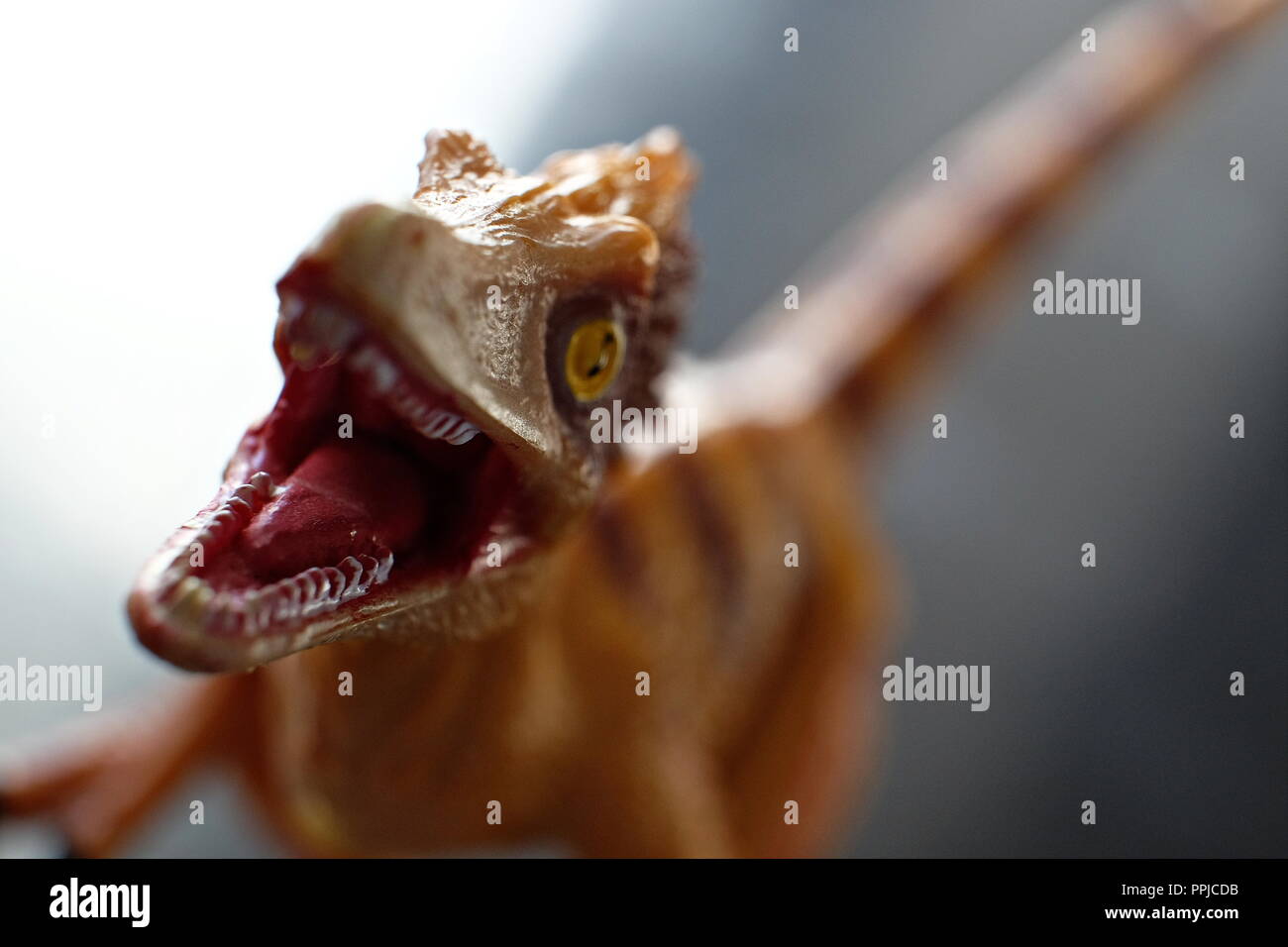 the most terrifying dinosaur Stock Photo - Alamy