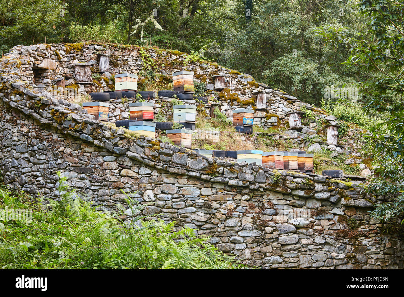 Beehives structure hi-res stock photography and images - Alamy