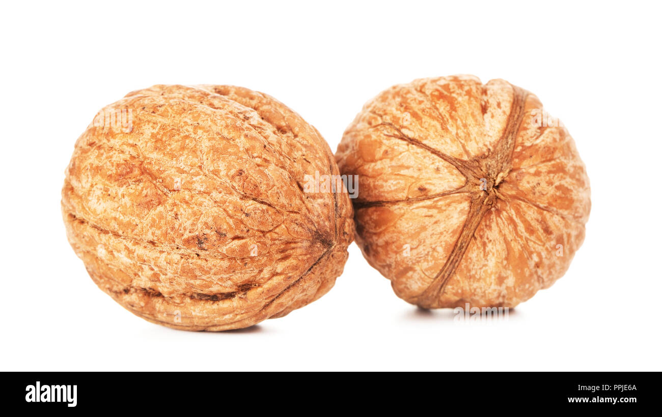 two walnuts in a shell, isolated on white background Stock Photo - Alamy