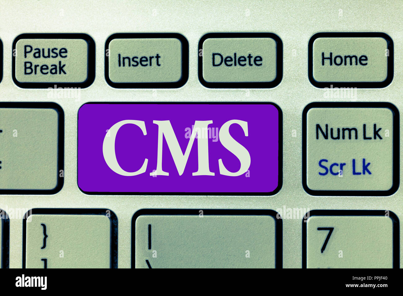 Word writing text Cms. Business concept for Manages the creation and ...