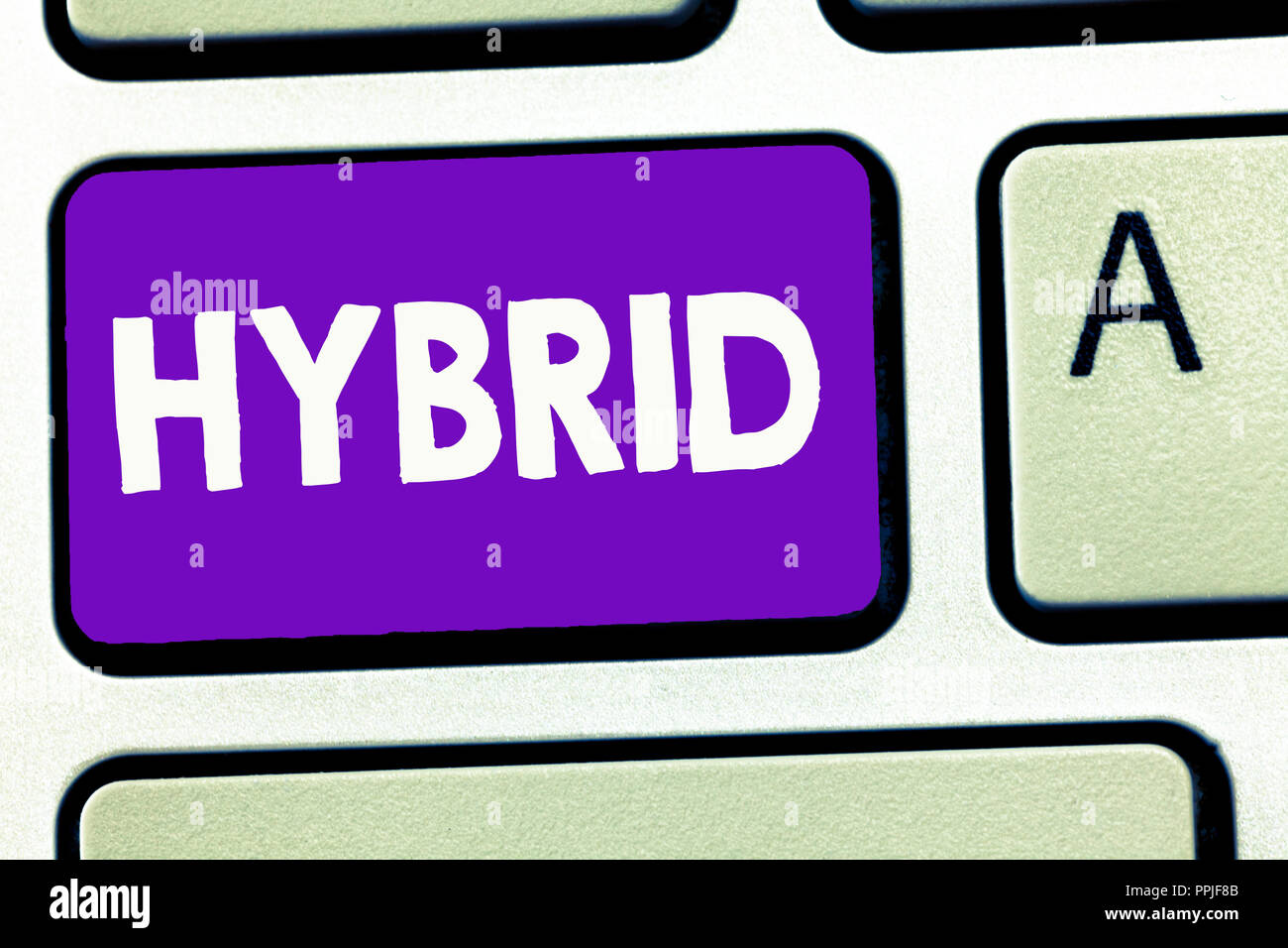 Handwriting text writing Hybrid. Concept meaning offspring of two ...